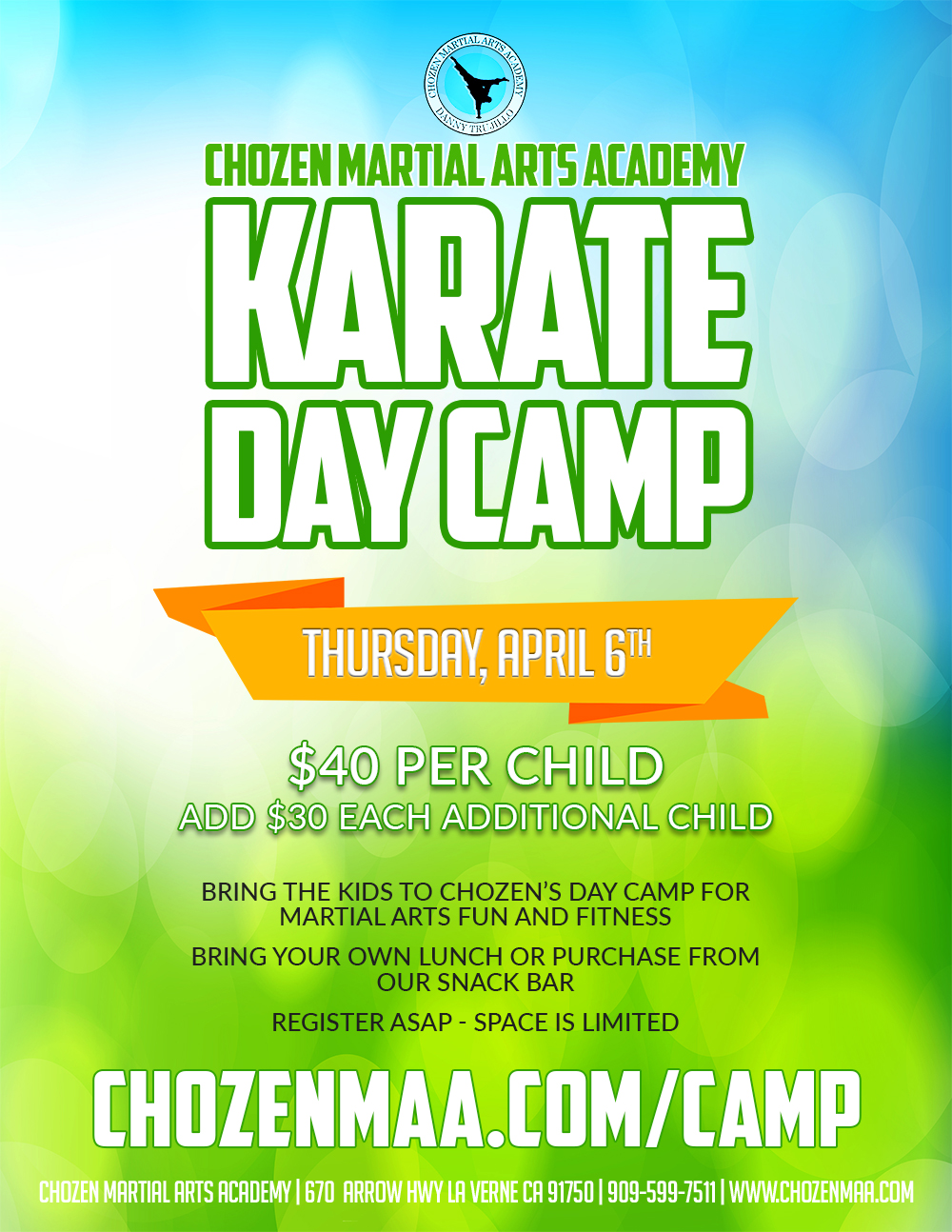 Karate Day Camp Apr 6th - Chozen Martial Arts Academy
